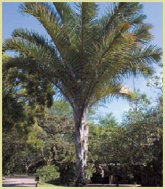 Department of Water & Environmental Affairs