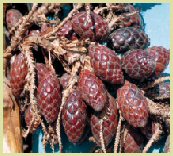 Department of Water & Environmental Affairs