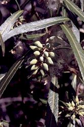 Department of Water & Environmental Affairs