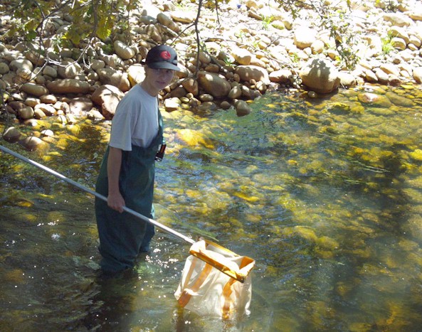 "The South African River Health Programme: Provincial iniciatives ...