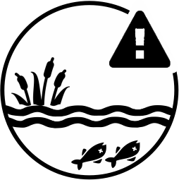 DWS - NIWIS - About NIWIS